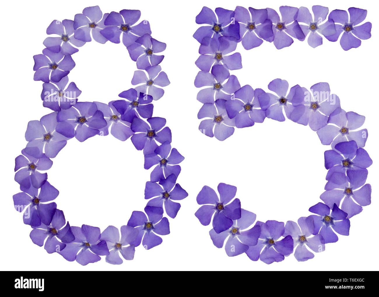Numeral 85, eighty five, from natural blue flowers of periwinkle ...