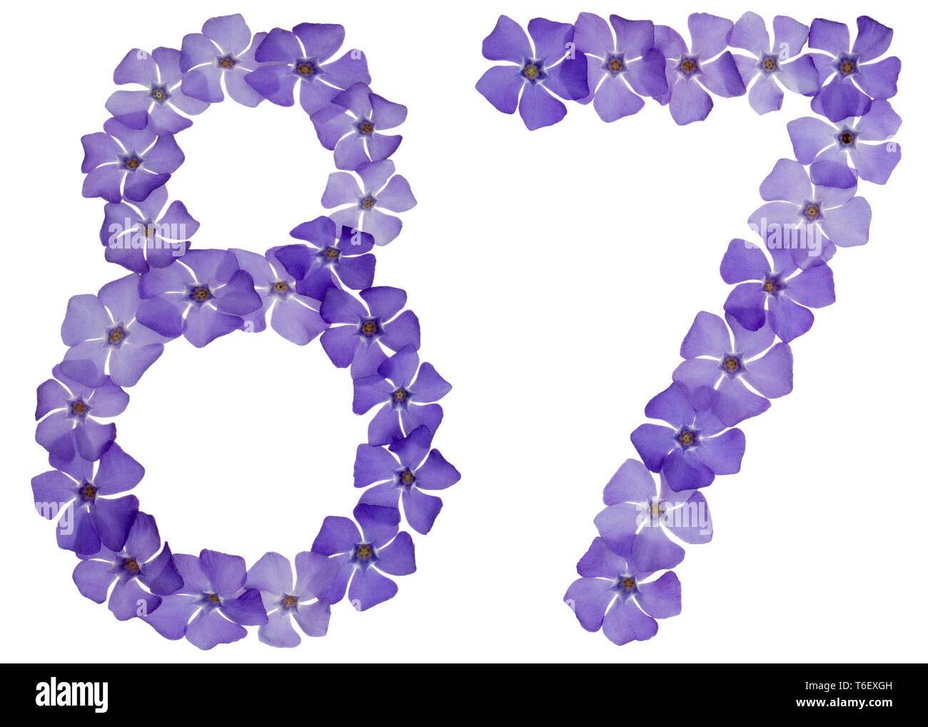 Numeral 87, eighty seven, from natural blue flowers of periwinkle ...