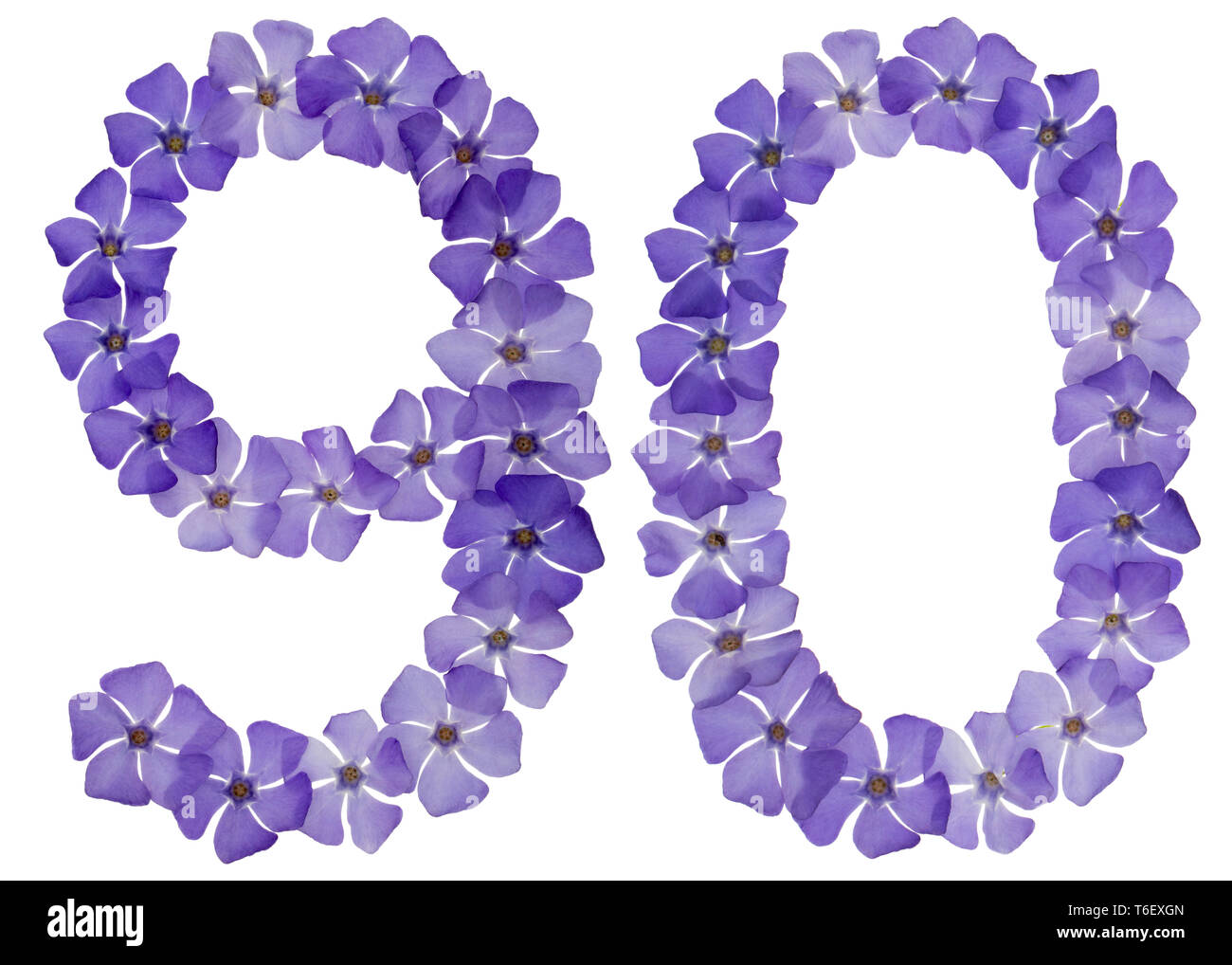Numeral 90, ninety, from natural blue flowers of periwinkle, isolated ...