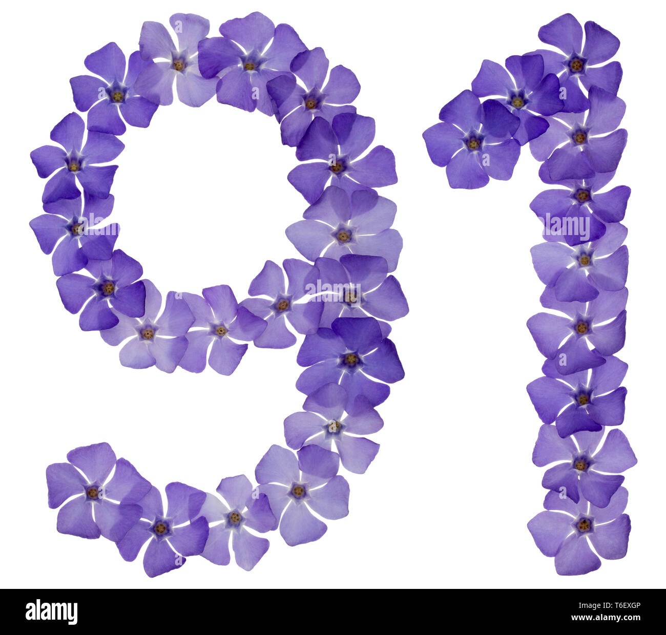 Numeral 91, ninety one, from natural blue flowers of periwinkle ...