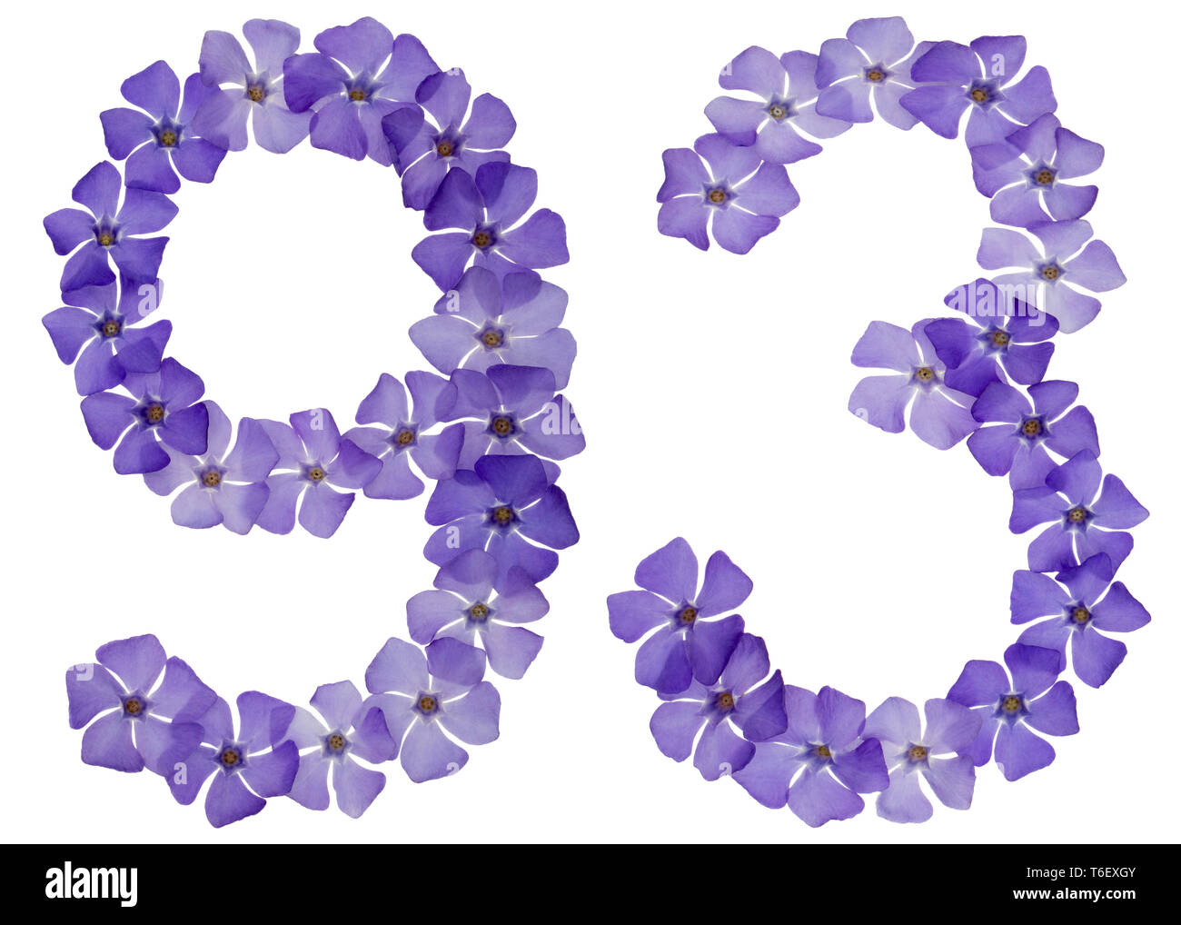Numeral 93, ninety three, from natural blue flowers of periwinkle ...