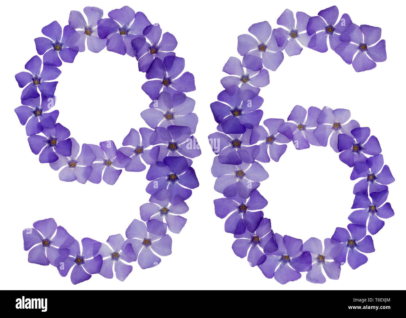 Numeral 96, ninety six, from natural blue flowers of periwinkle ...