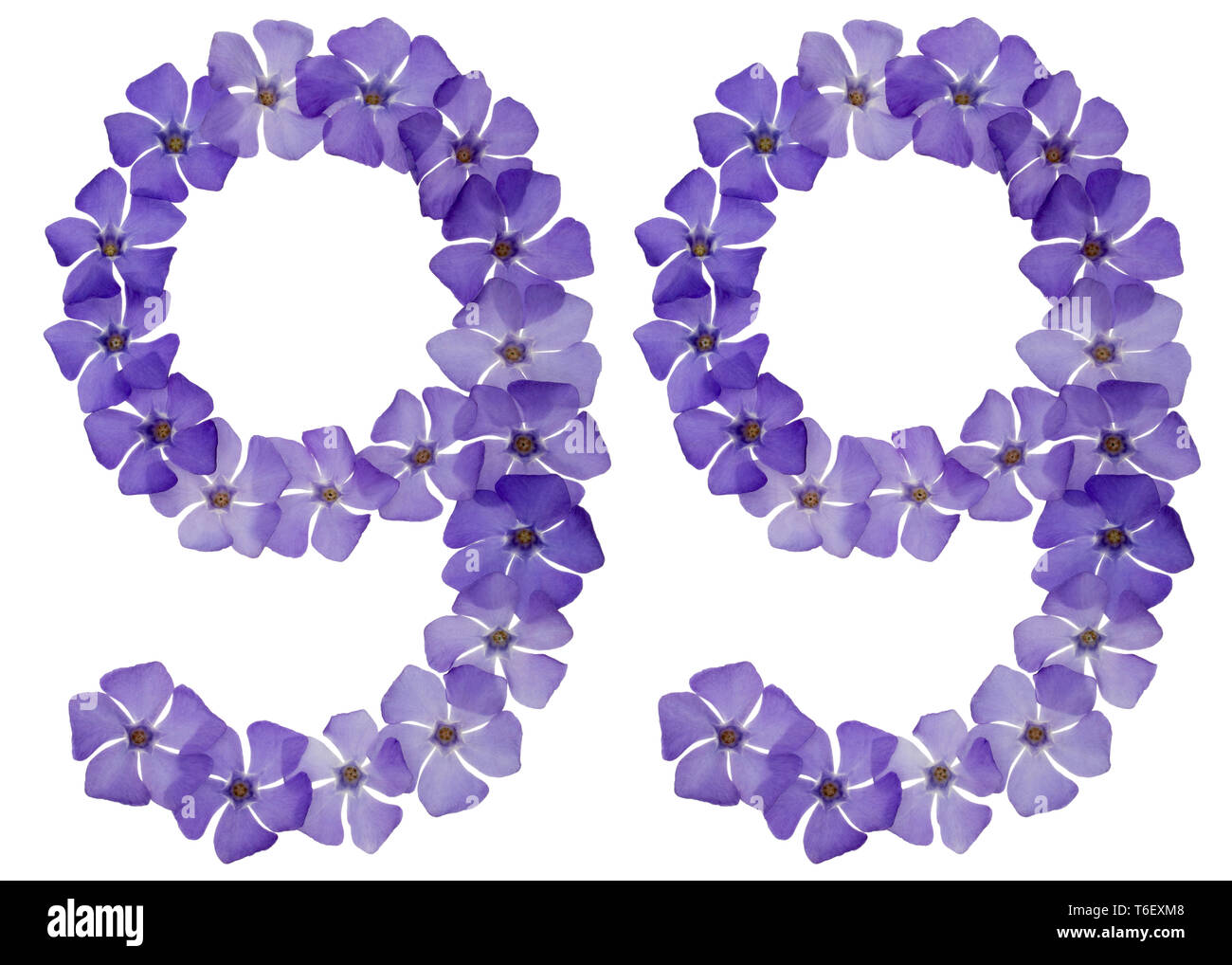 Numeral 99, ninety nine, from natural blue flowers of periwinkle ...
