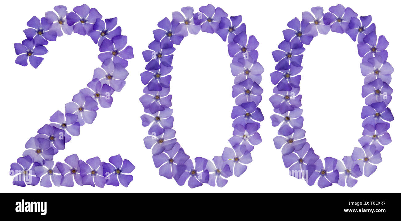 Numeral 200, two hundred, from natural blue flowers of periwinkle ...