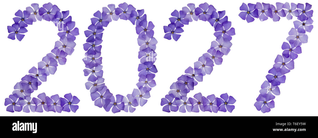 Inscription 2027, from natural blue flowers of periwinkle, isolated on ...