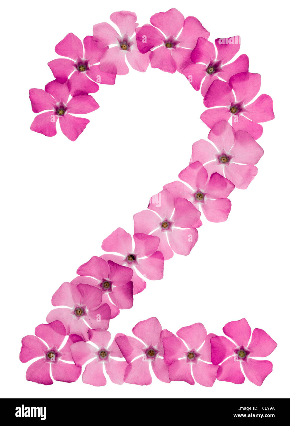 Numeral 2, two, from natural pink flowers of periwinkle, isolated on ...