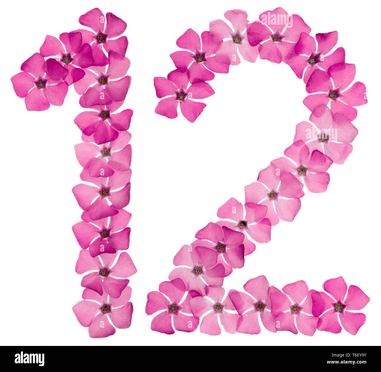 Numeral 12, twelve, from natural pink flowers of periwinkle, isolated ...