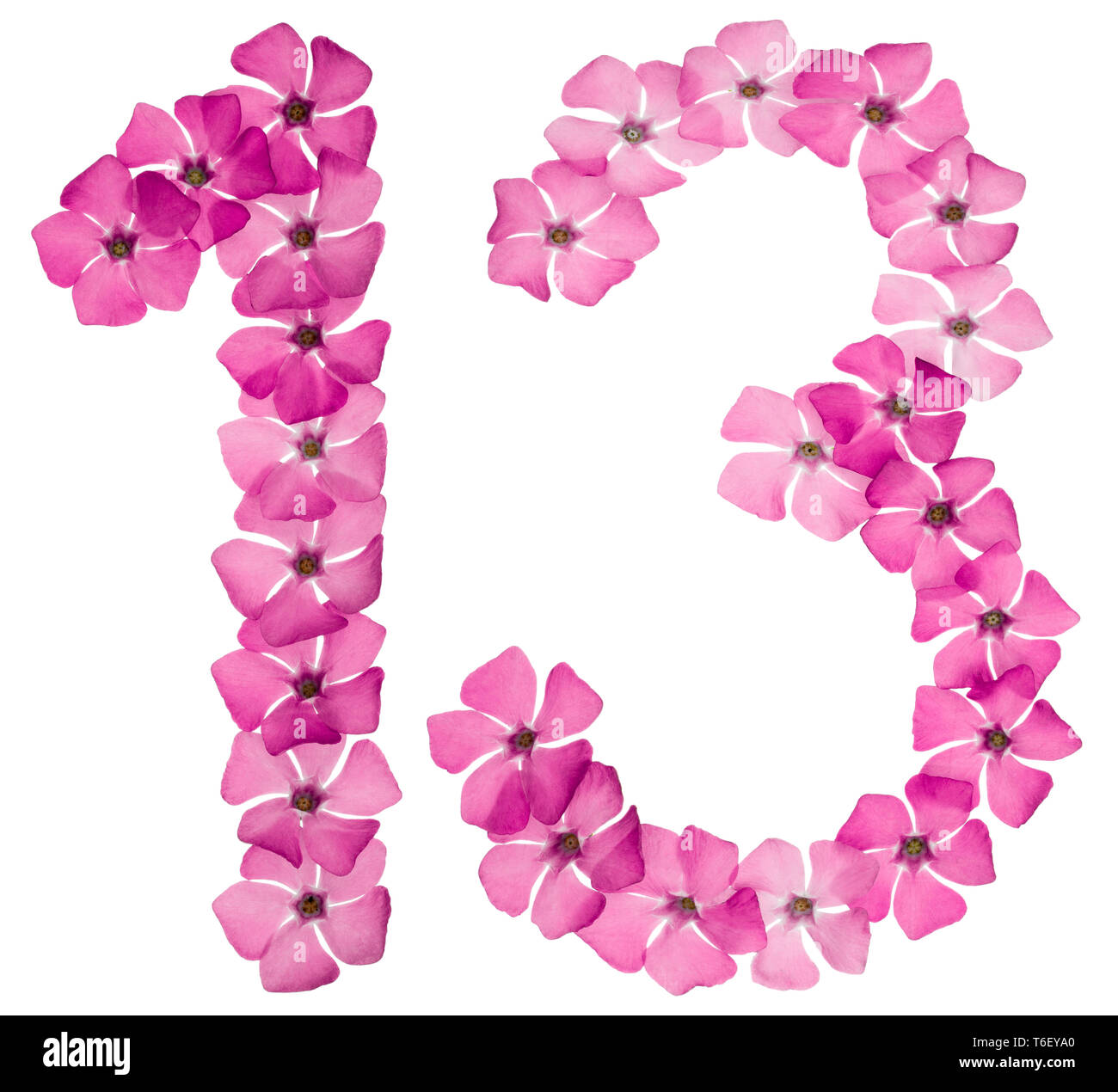 Numeral 13, thirteen, from natural pink flowers of periwinkle, isolated ...