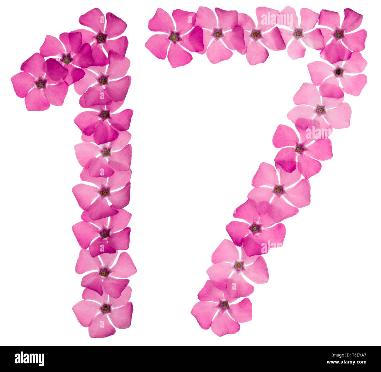 Numeral 17, seventeen, from natural pink flowers of periwinkle ...