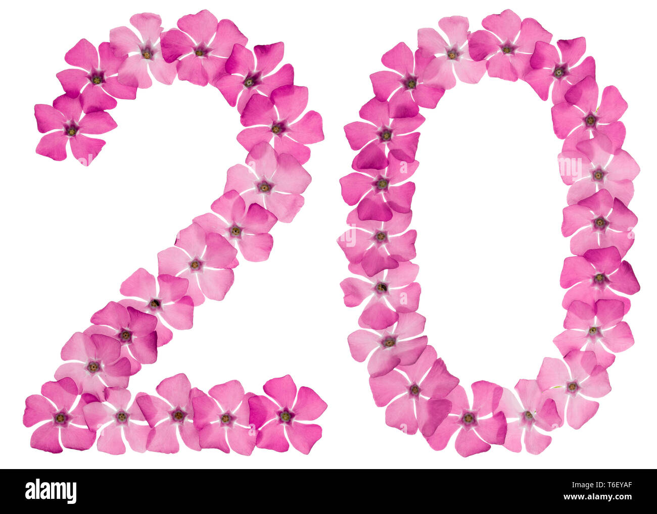 Numeral 20, twenty, two, from natural pink flowers of periwinkle ...