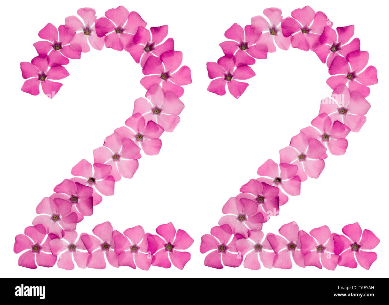 Numeral 22, twenty two, from natural pink flowers of periwinkle ...