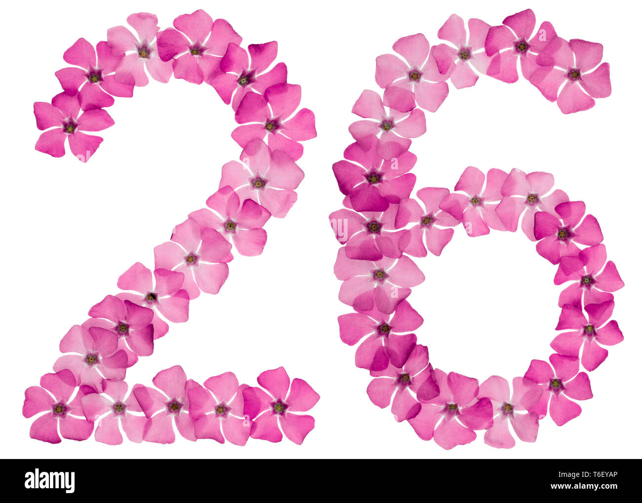 Numeral 26, twenty six, from natural pink flowers of periwinkle ...