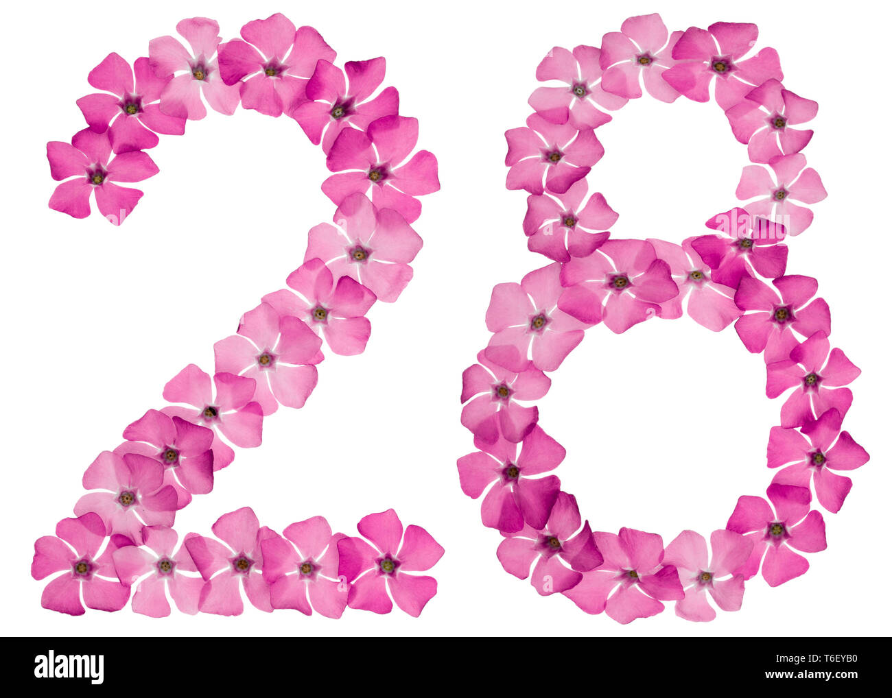 Numeral 28, twenty eight, from natural pink flowers of periwinkle ...