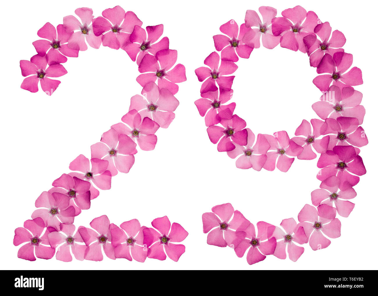 Numeral 29, twenty nine, from natural pink flowers of periwinkle ...