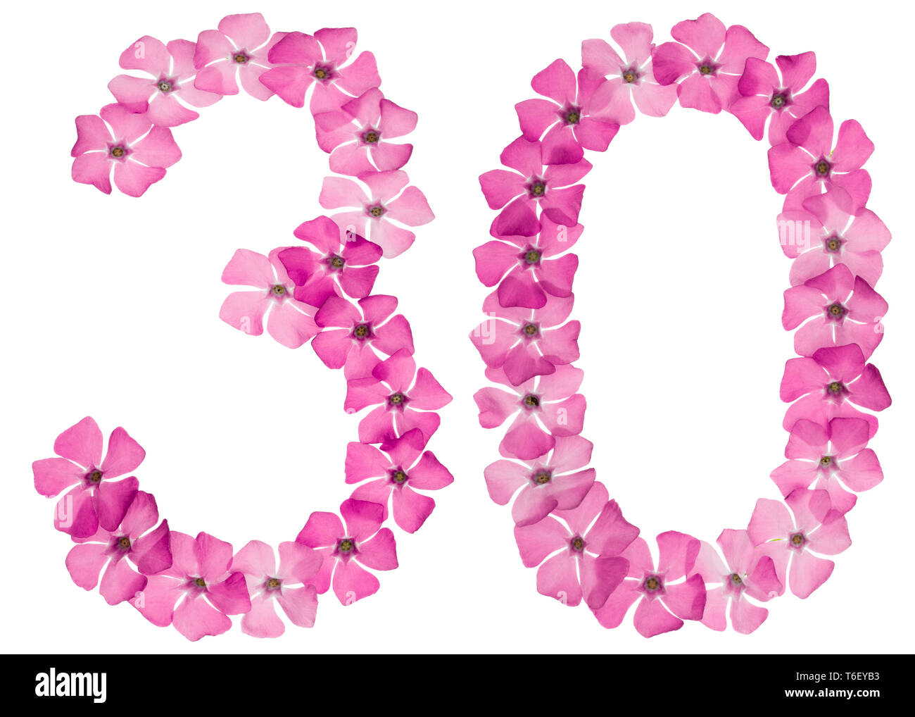 Numeral 30, thirty, from natural pink flowers of periwinkle, isolated ...