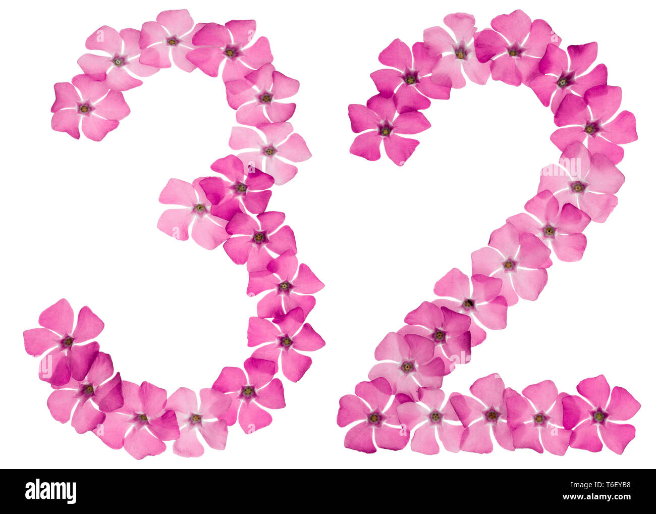 Numeral 32, thirty two, from natural pink flowers of periwinkle ...