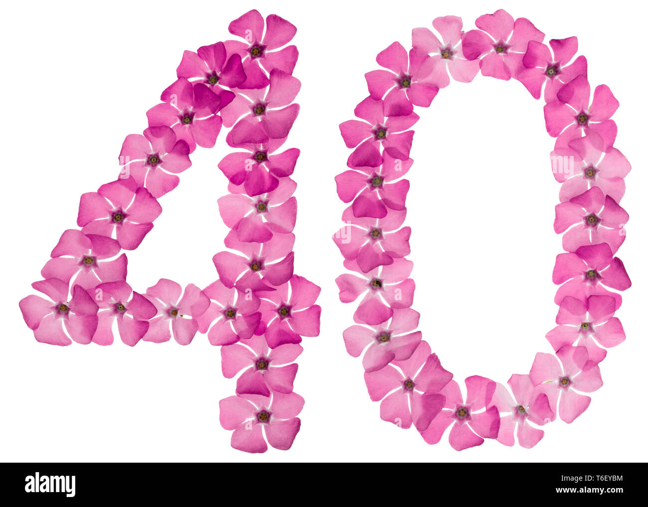 Numeral 40, forty, from natural pink flowers of periwinkle, isolated on ...