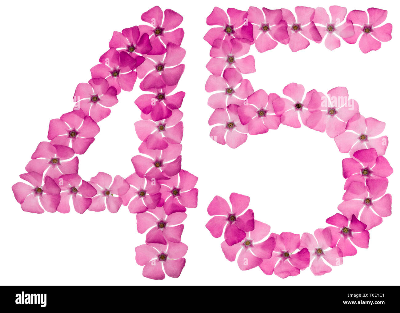 Numeral 45, forty five, from natural pink flowers of periwinkle ...