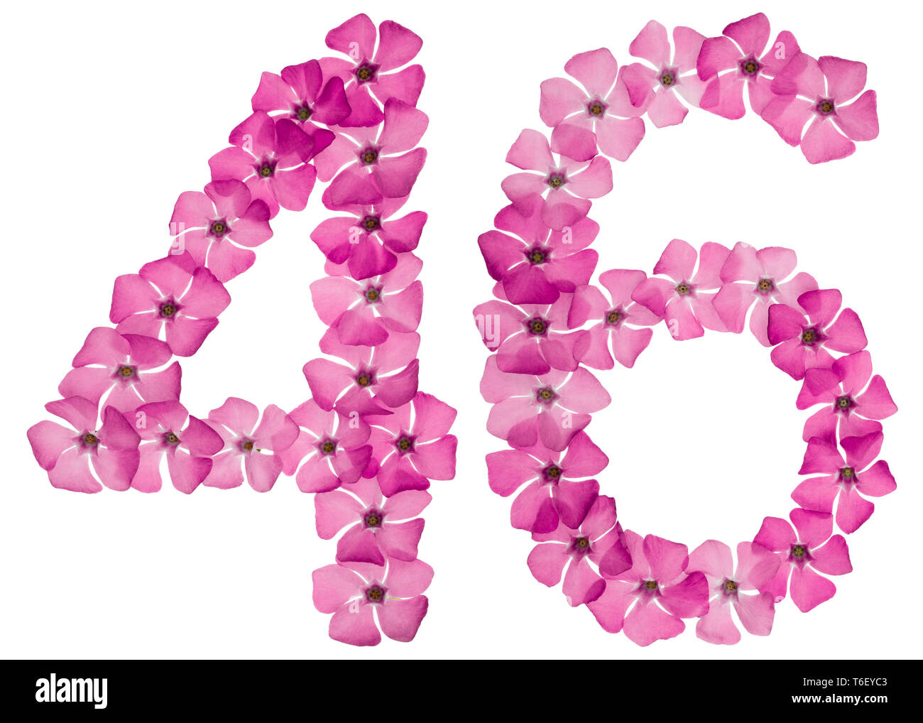 Numeral 46, forty six, from natural pink flowers of periwinkle ...