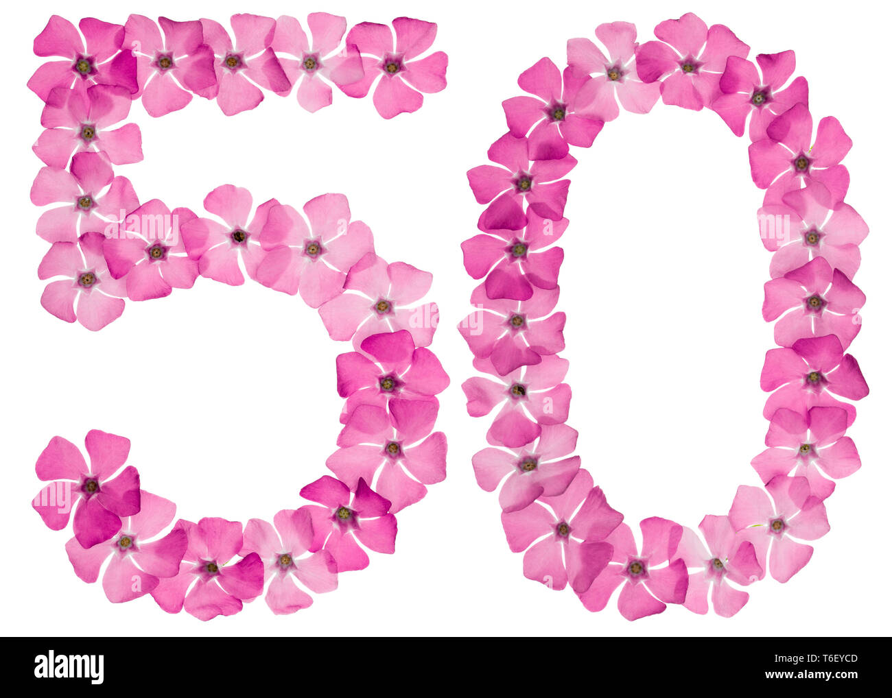 Numeral 50, fifty, five, from natural pink flowers of periwinkle ...