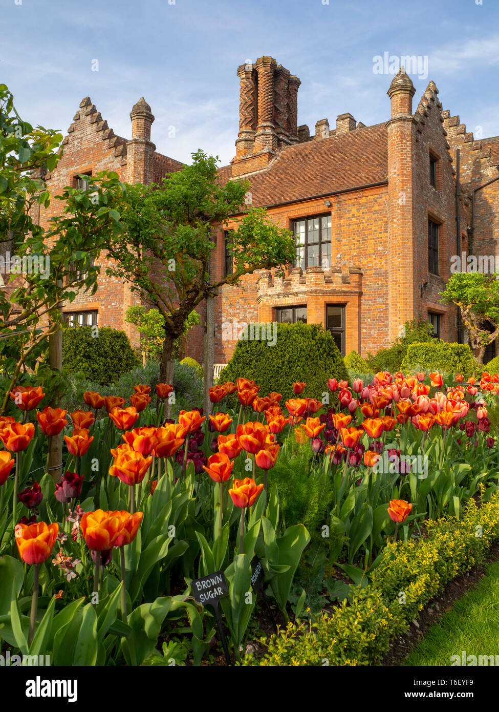 Chenies Manor House and Gardens in April showing colourful tulip ...
