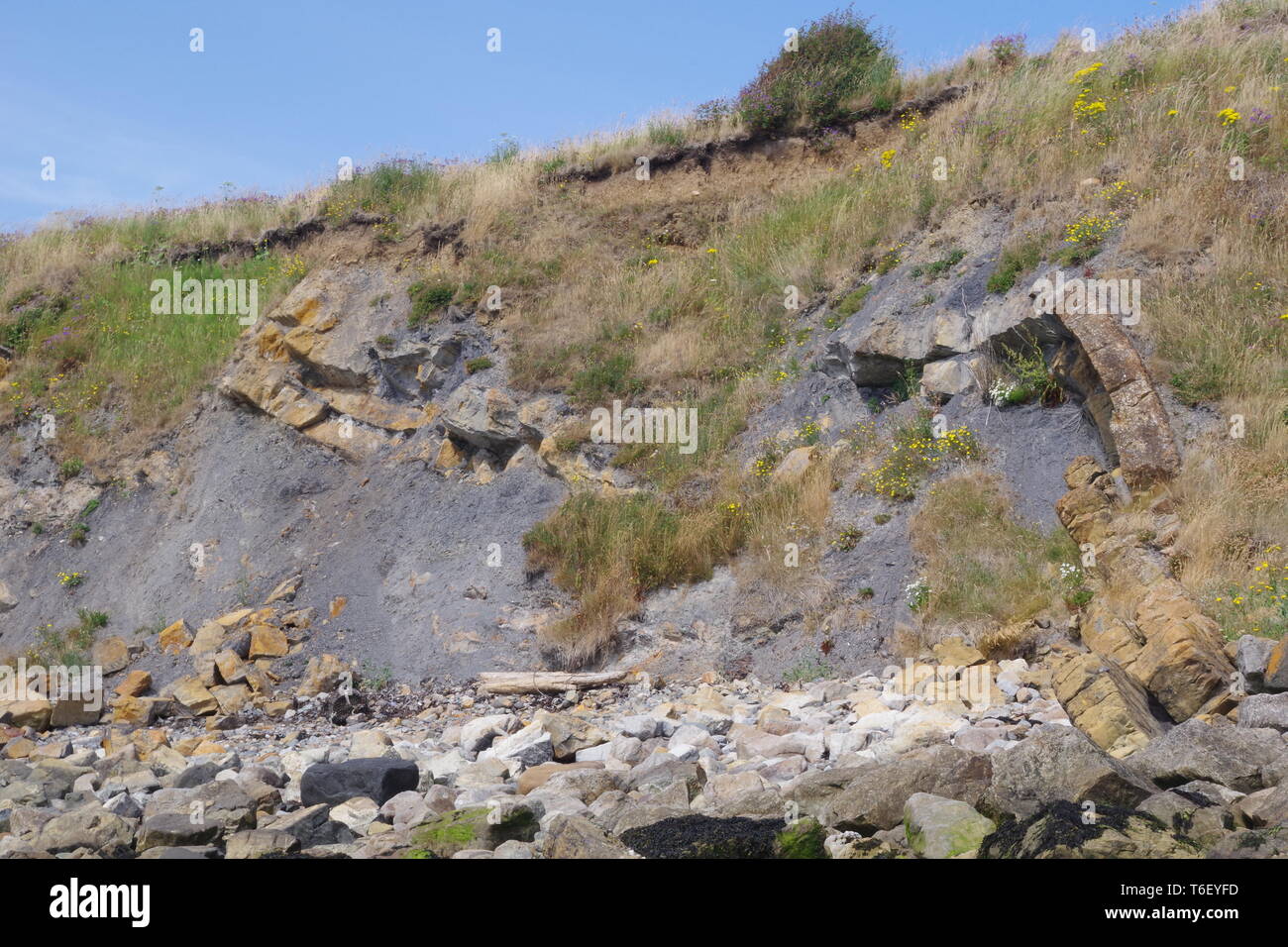 Sea Cliff of Carboniferous Age Shale and Sandstone Coal Measure along ...