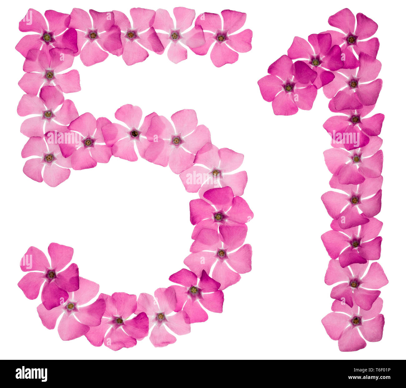 Numeral 51, fifty one, from natural pink flowers of periwinkle ...