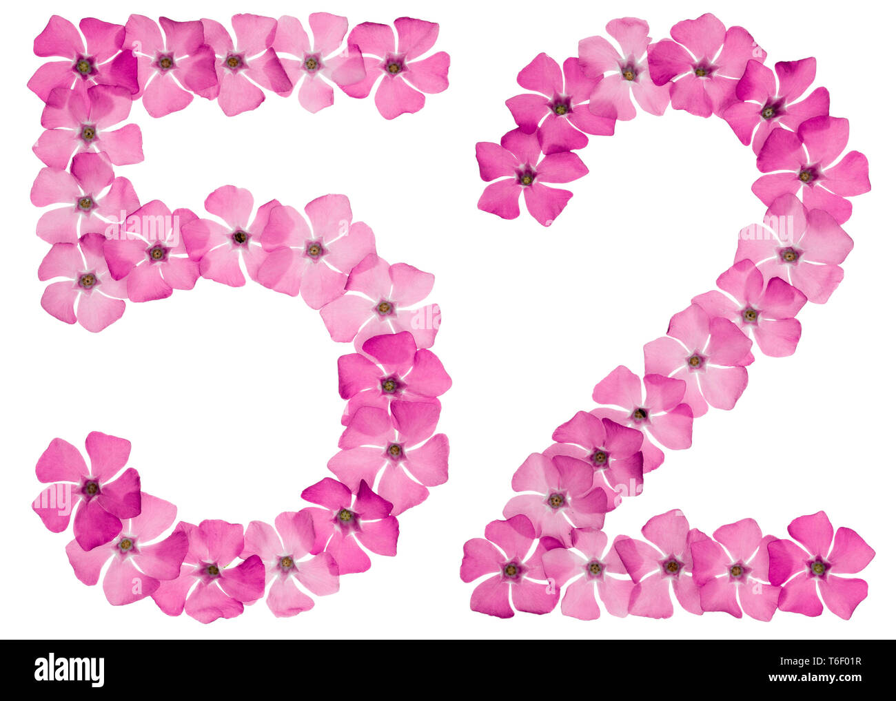 Numeral 52, fifty two, from natural pink flowers of periwinkle ...
