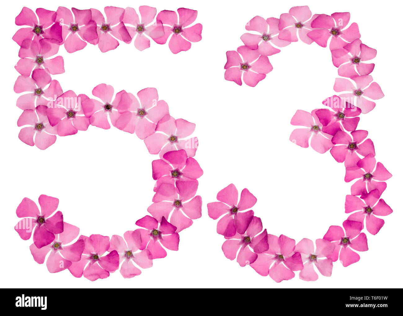 Numeral 53, fifty three, from natural pink flowers of periwinkle ...