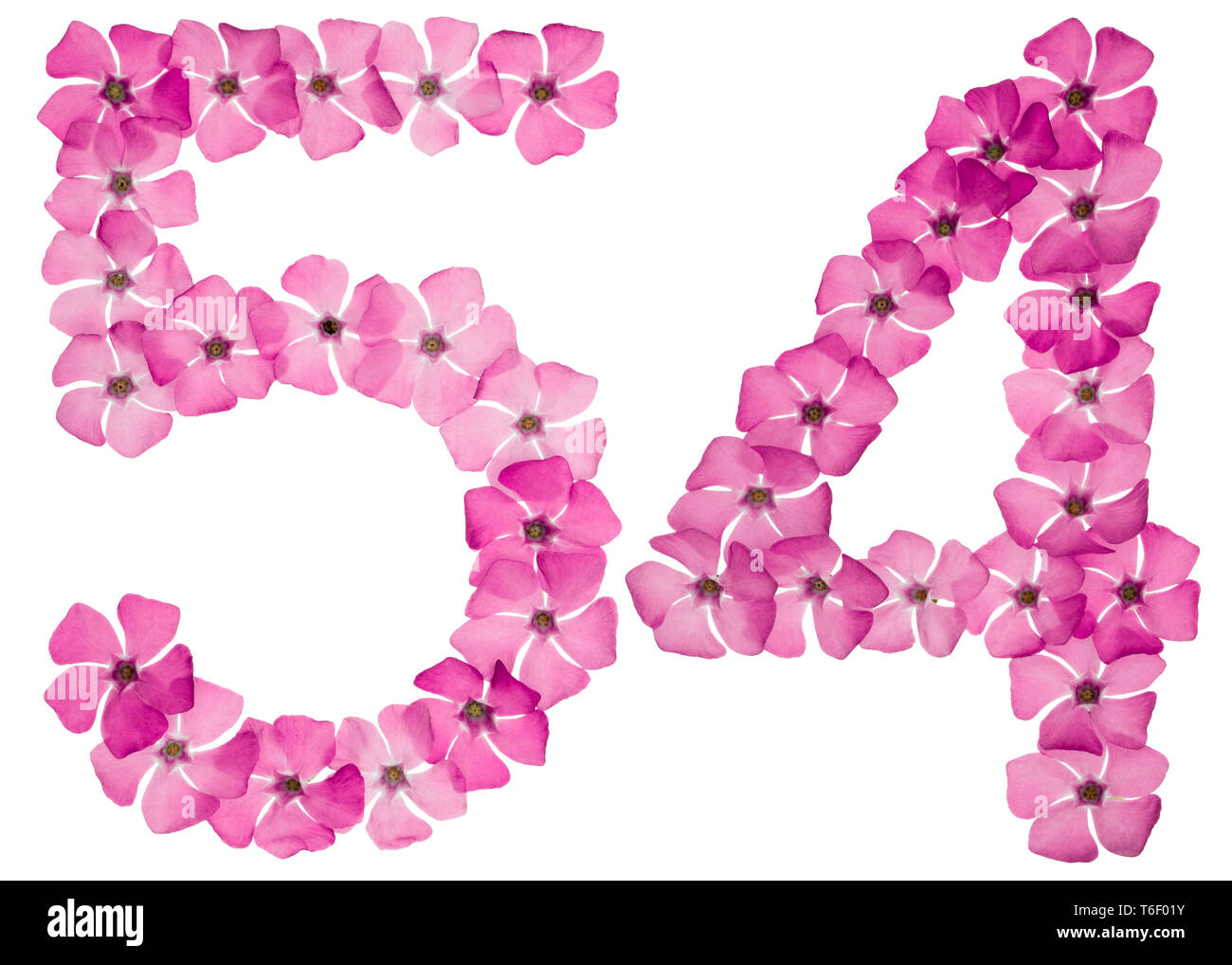Numeral 54, fifty four, from natural pink flowers of periwinkle ...