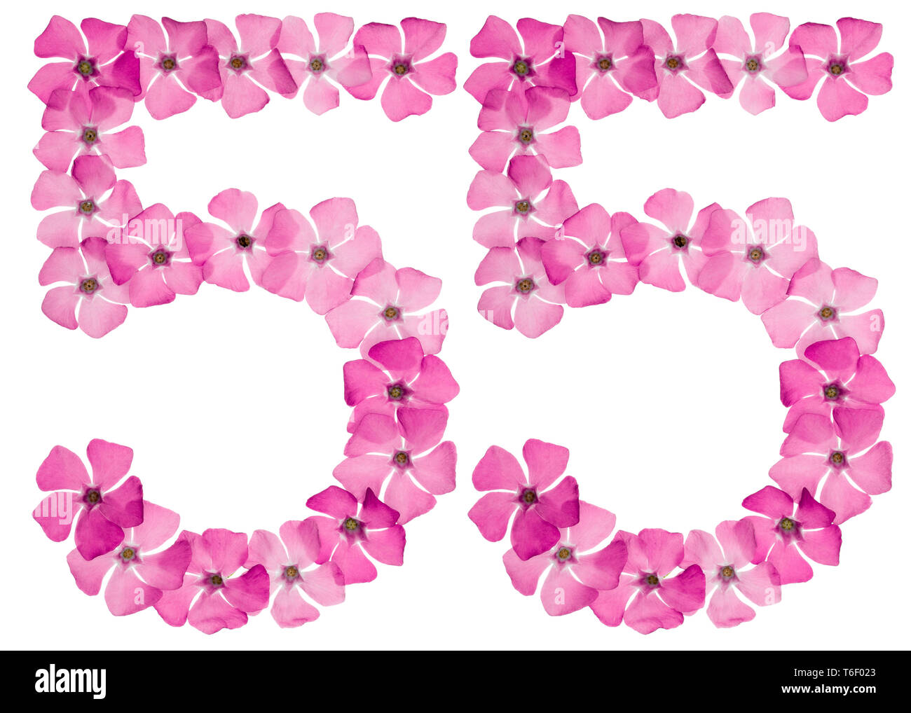 Numeral 55, fifty five, from natural pink flowers of periwinkle ...
