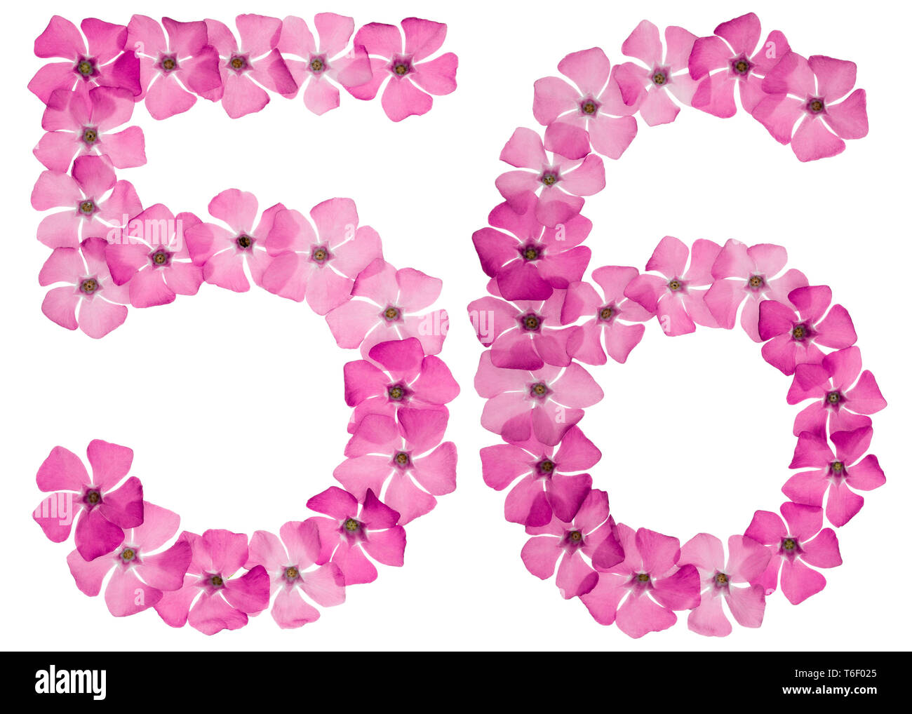 Arabic number 56 Cut Out Stock Images & Pictures - Alamy