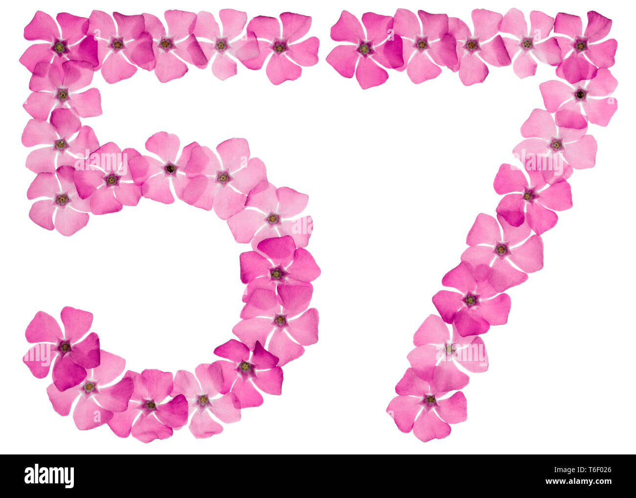 Numeral 57, fifty seven, from natural pink flowers of periwinkle ...