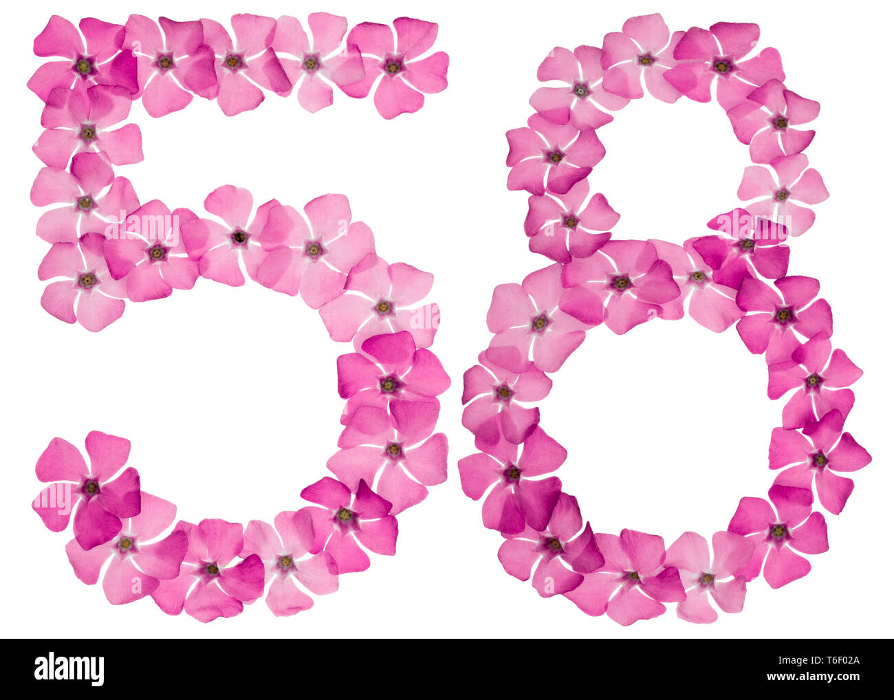 Numeral 58, fifty eight, from natural pink flowers of periwinkle ...