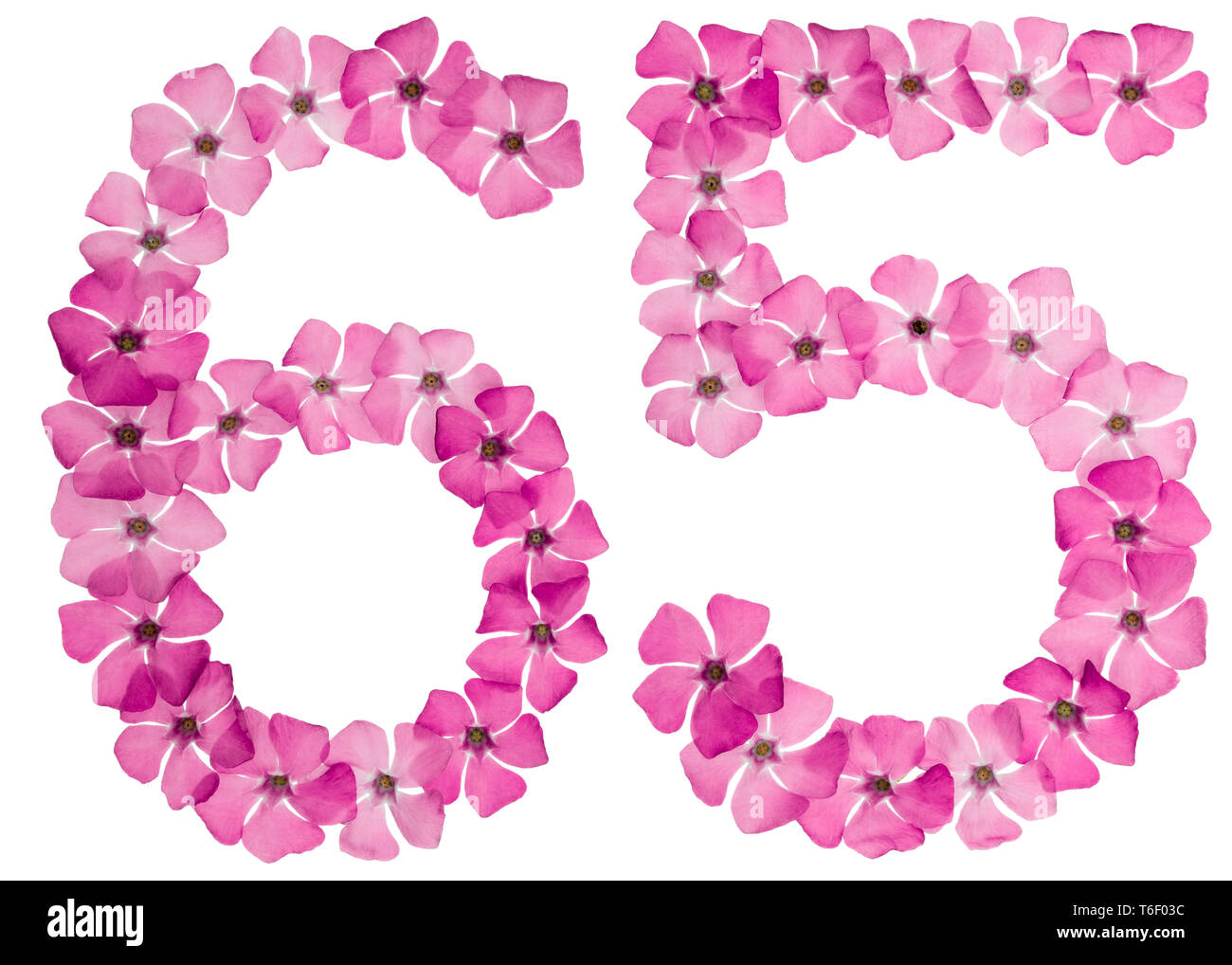 Numeral 65, sixty five, from natural pink flowers of periwinkle ...