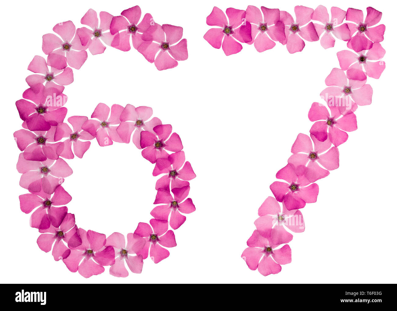 Numeral 67, sixty seven, from natural pink flowers of periwinkle ...