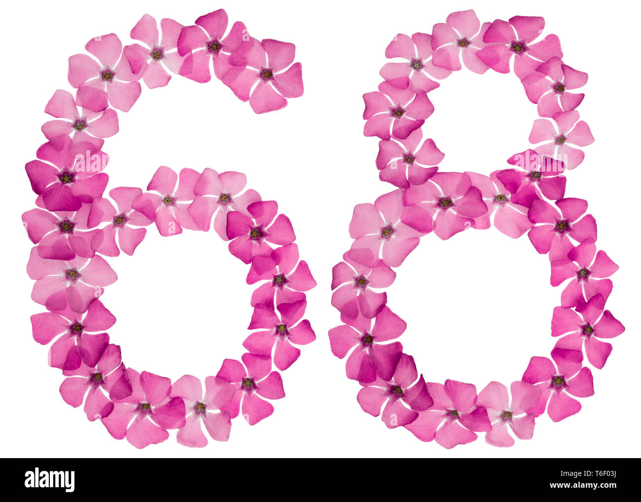Numeral 68, sixty eight, from natural pink flowers of periwinkle ...