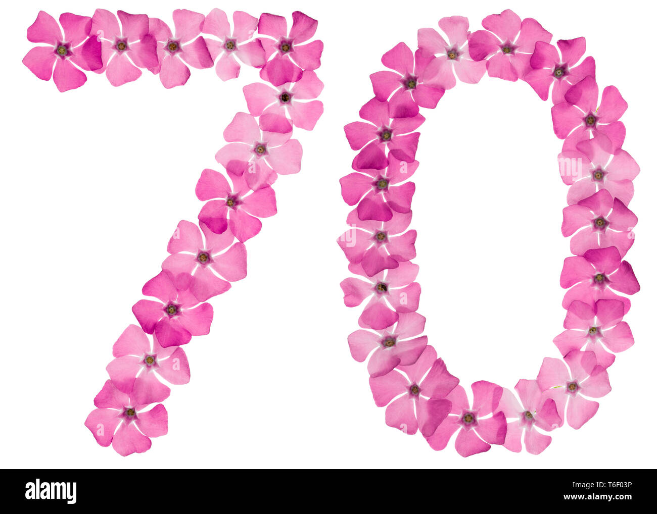 Numeral 70, seventy, from natural pink flowers of periwinkle, isolated ...