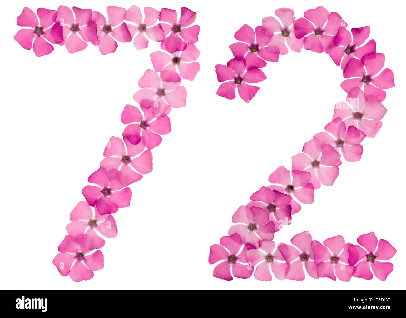 Numeral 72, seventy two, from natural pink flowers of periwinkle ...