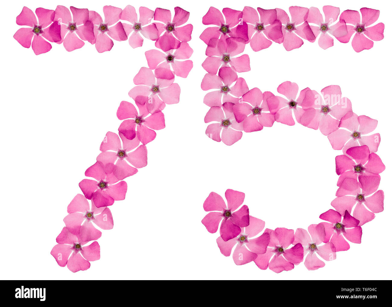 Numeral 75, seventy five, from natural pink flowers of periwinkle ...
