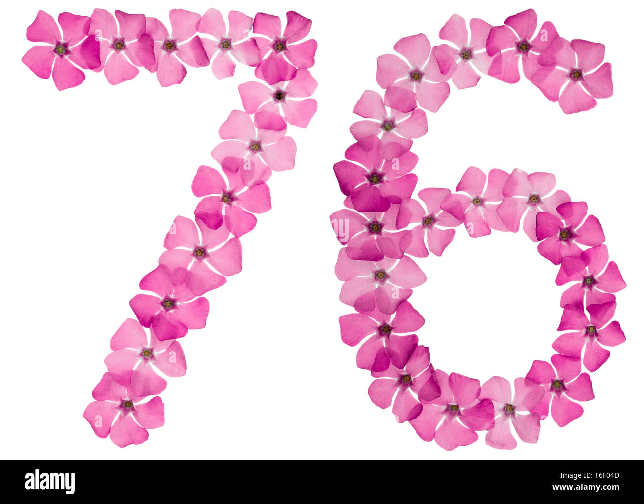 Numeral 76, seventy six, from natural pink flowers of periwinkle ...