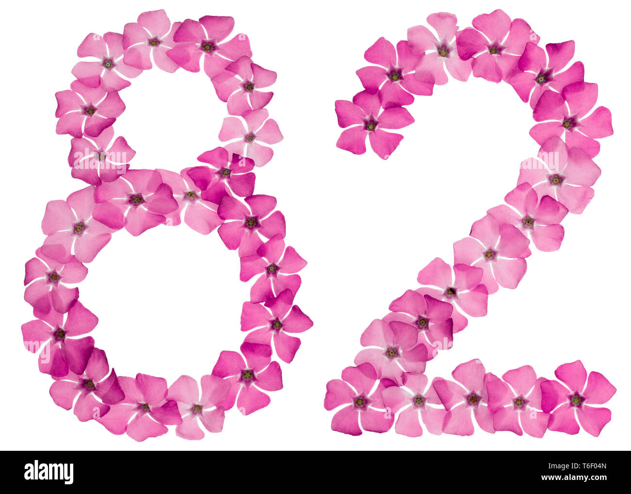 Numeral 82, eighty two, from natural pink flowers of periwinkle ...