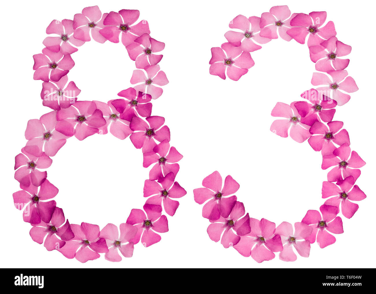 Numeral 83, eighty three, from natural pink flowers of periwinkle ...