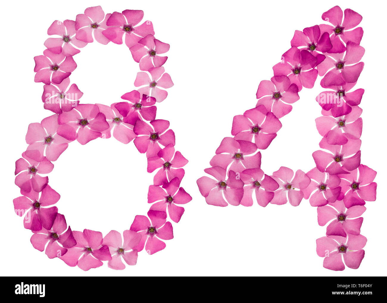 Numeral 84, eighty four, from natural pink flowers of periwinkle ...