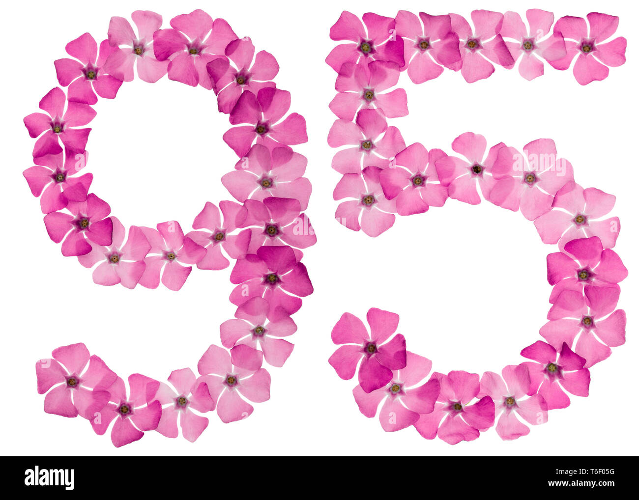 Numeral 95, ninety five, from natural pink flowers of periwinkle ...