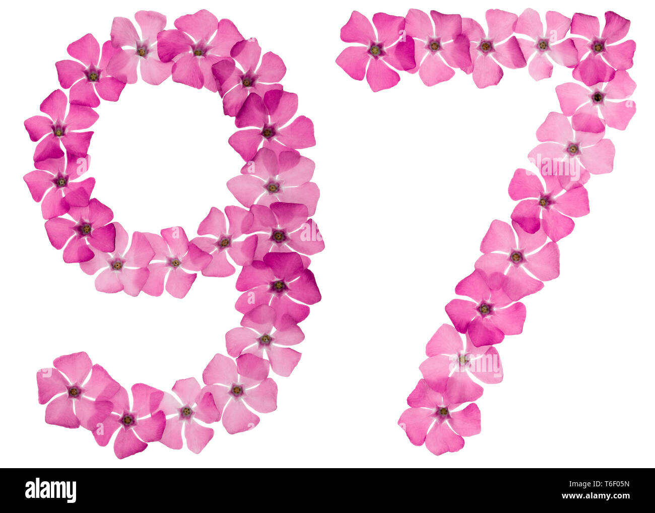 Numeral 97, ninety seven, from natural pink flowers of periwinkle ...