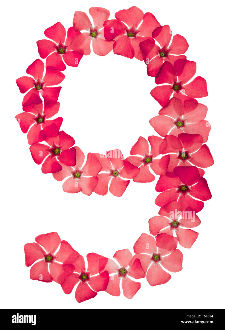 Numeral 9, nine, from natural red flowers of periwinkle, isolated on ...