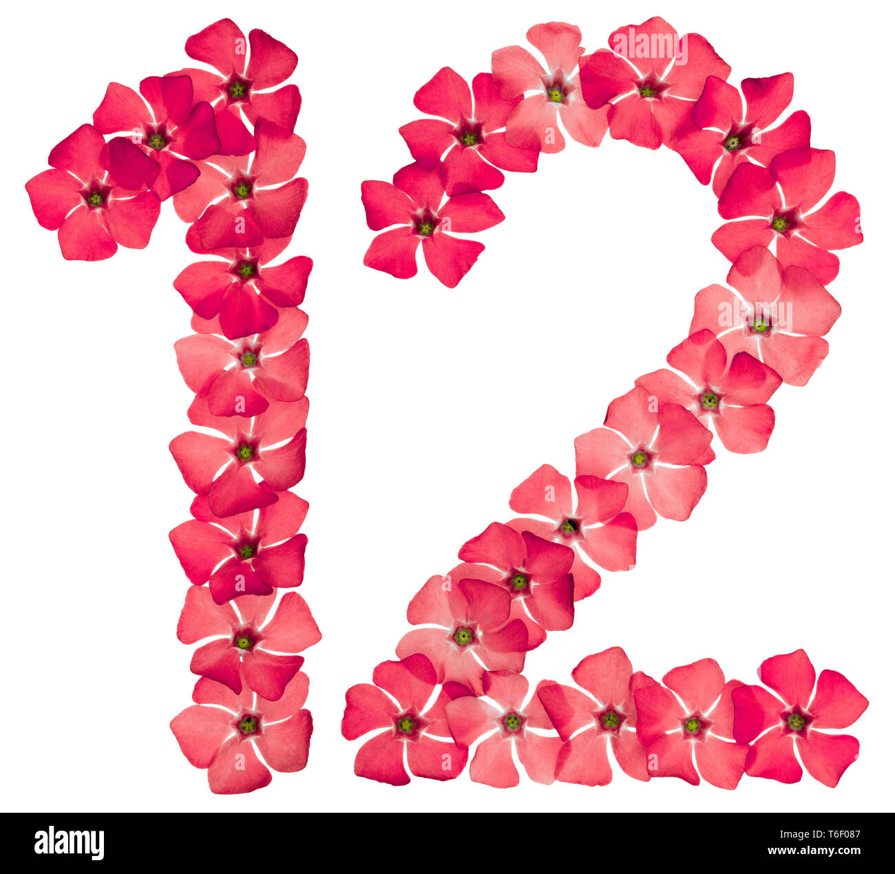 Numeral 12, twelve, from natural red flowers of periwinkle, isolated on ...