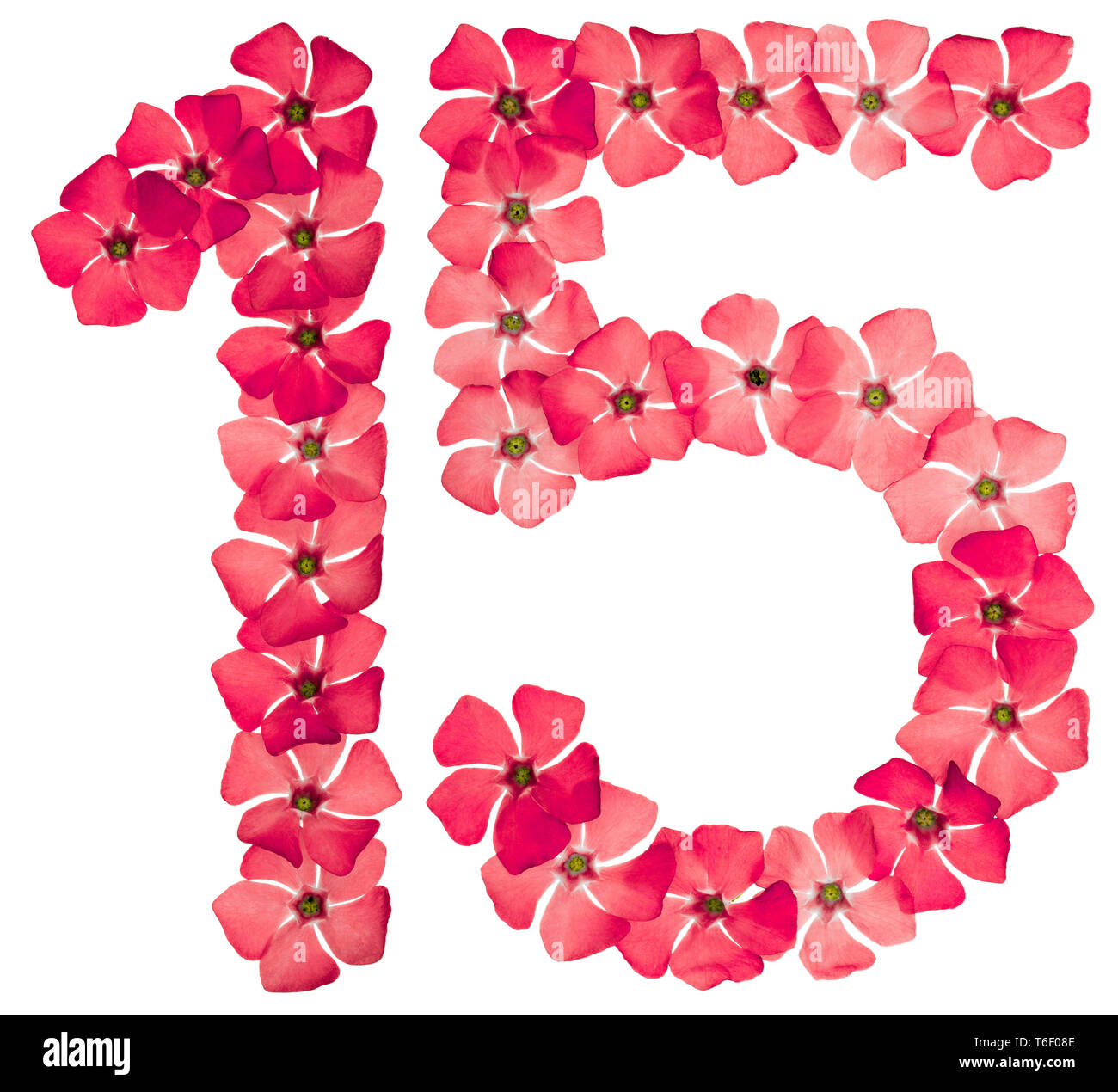 Numeral 15, fifteen, from natural red flowers of periwinkle, isolated ...