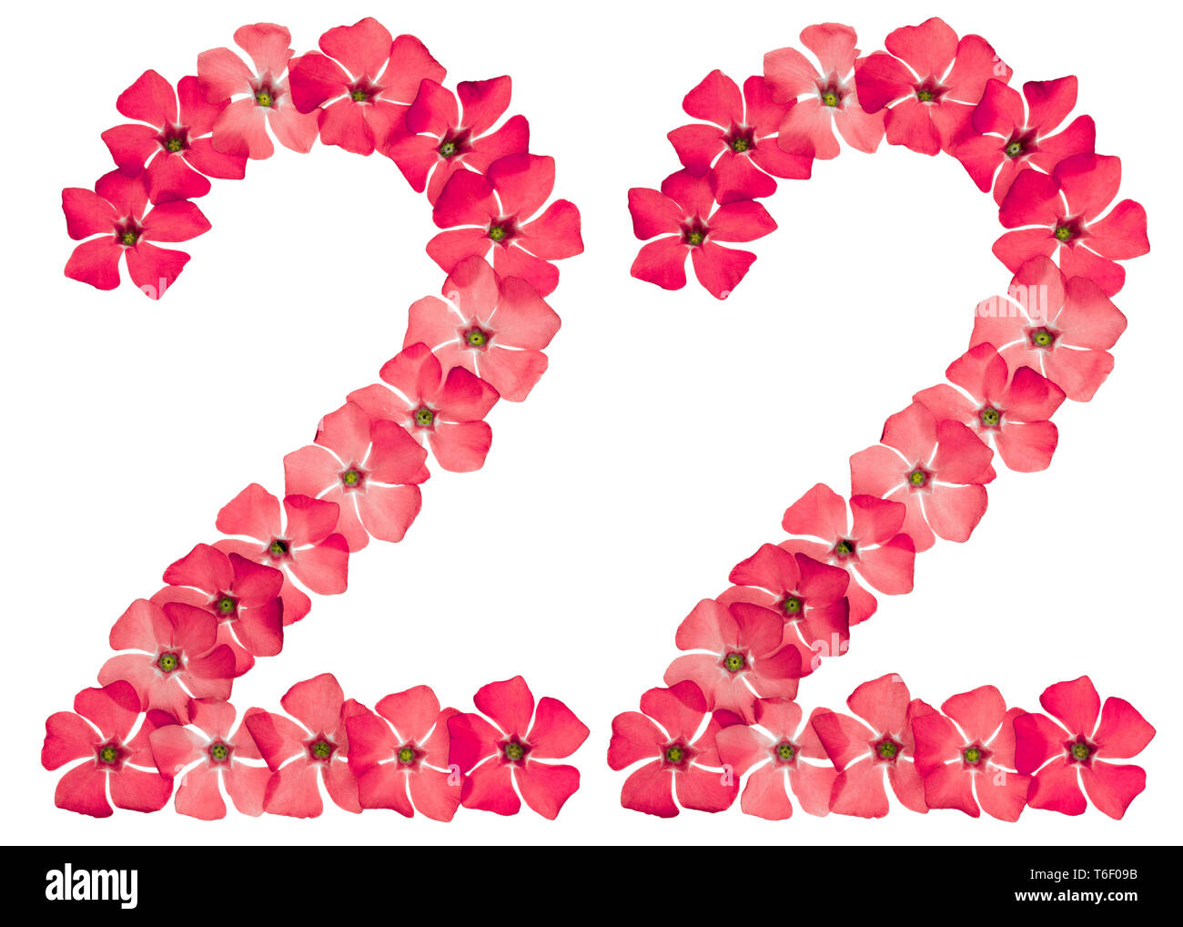 Numeral 22, twenty two, from natural red flowers of periwinkle ...